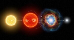 The Sun's Life Cycle: A Complete Scientific Guide (From Birth to Death)